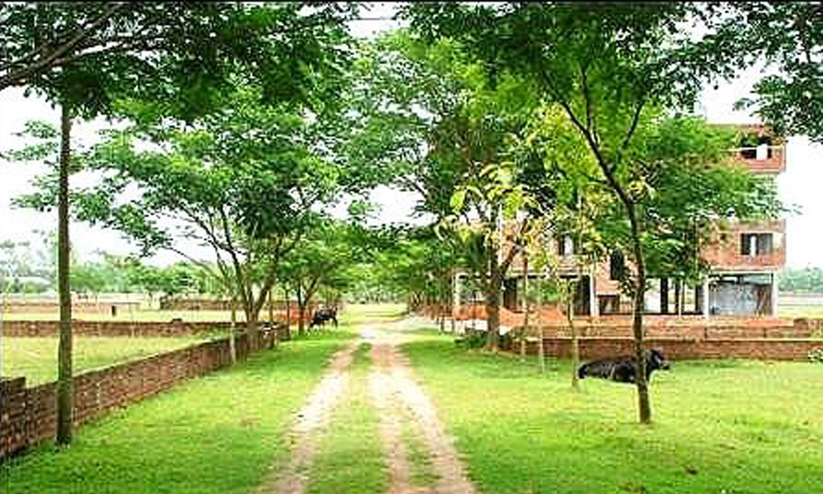 5 Katha Plot at Ashulia Model Town, Savar, Dhaka (Amin Mohammad Lands ...